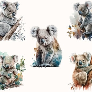 Watercolor Koala Bear Clipart, Koalas Clipart Bundle, Wild Clipart, Zoo ...