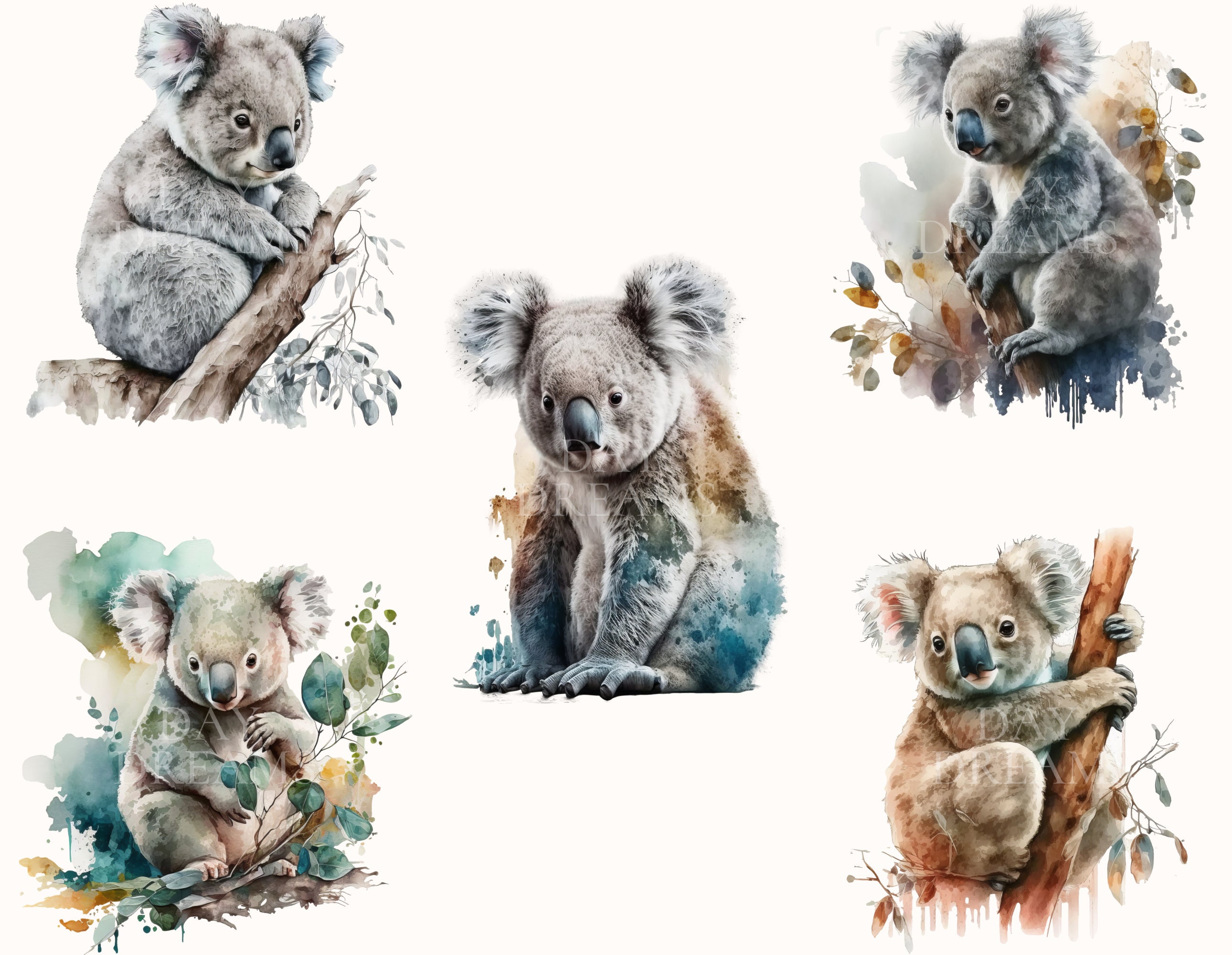 Watercolor Koala Bear Clipart Koalas Clipart Bundle Wild - Etsy