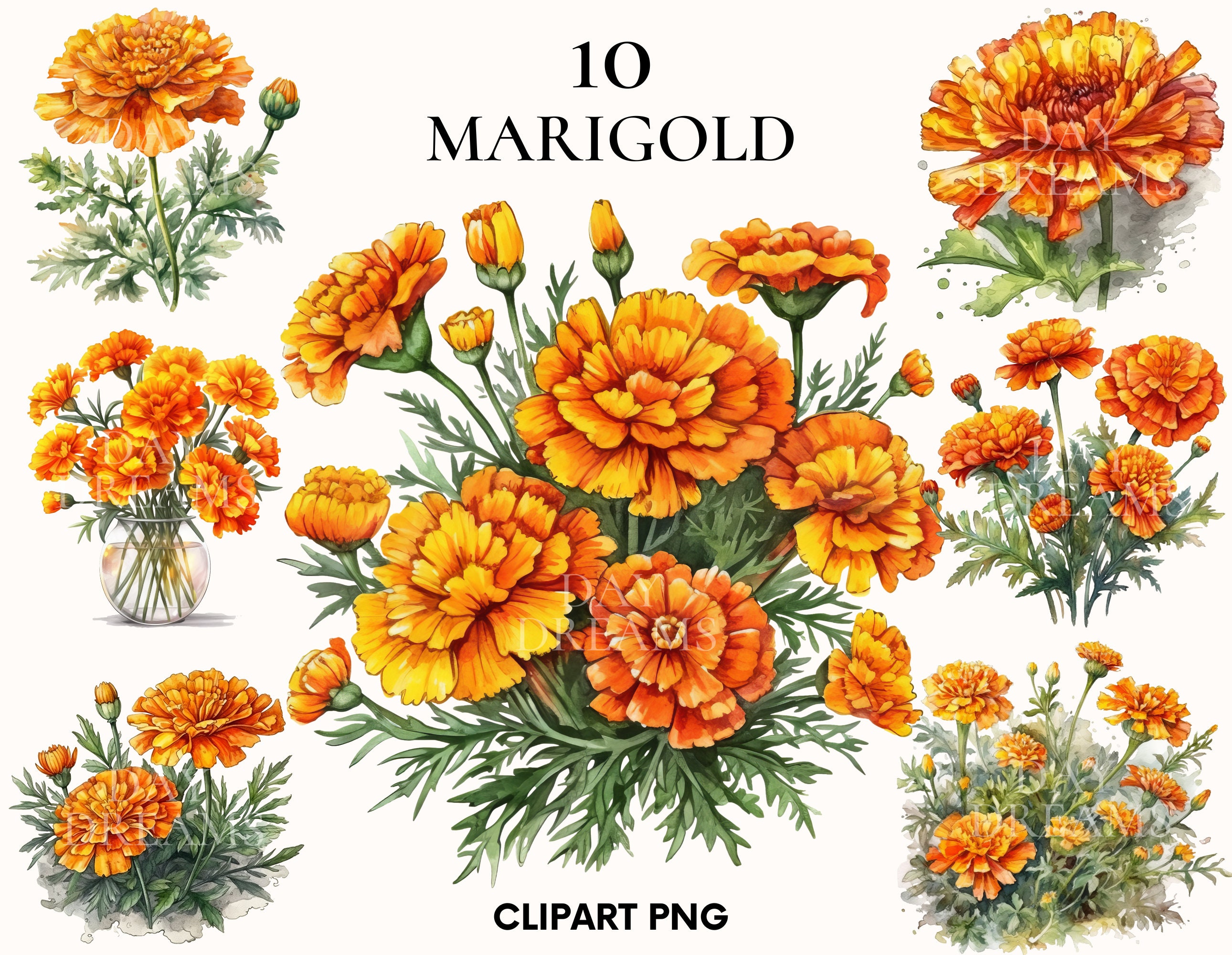 Marigold Stencil