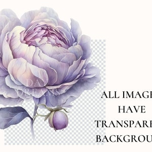 Watercolor Peonies Clipart, Spring Wedding Flowers Clipart Bundle ...