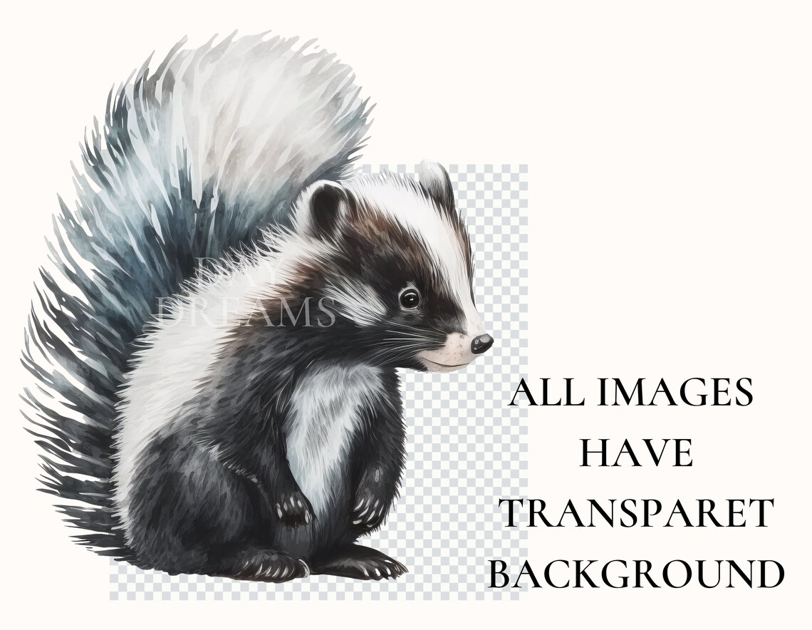 Watercolor Skunks Clipart Cute Skunk With Sunflowers Clipart - Etsy