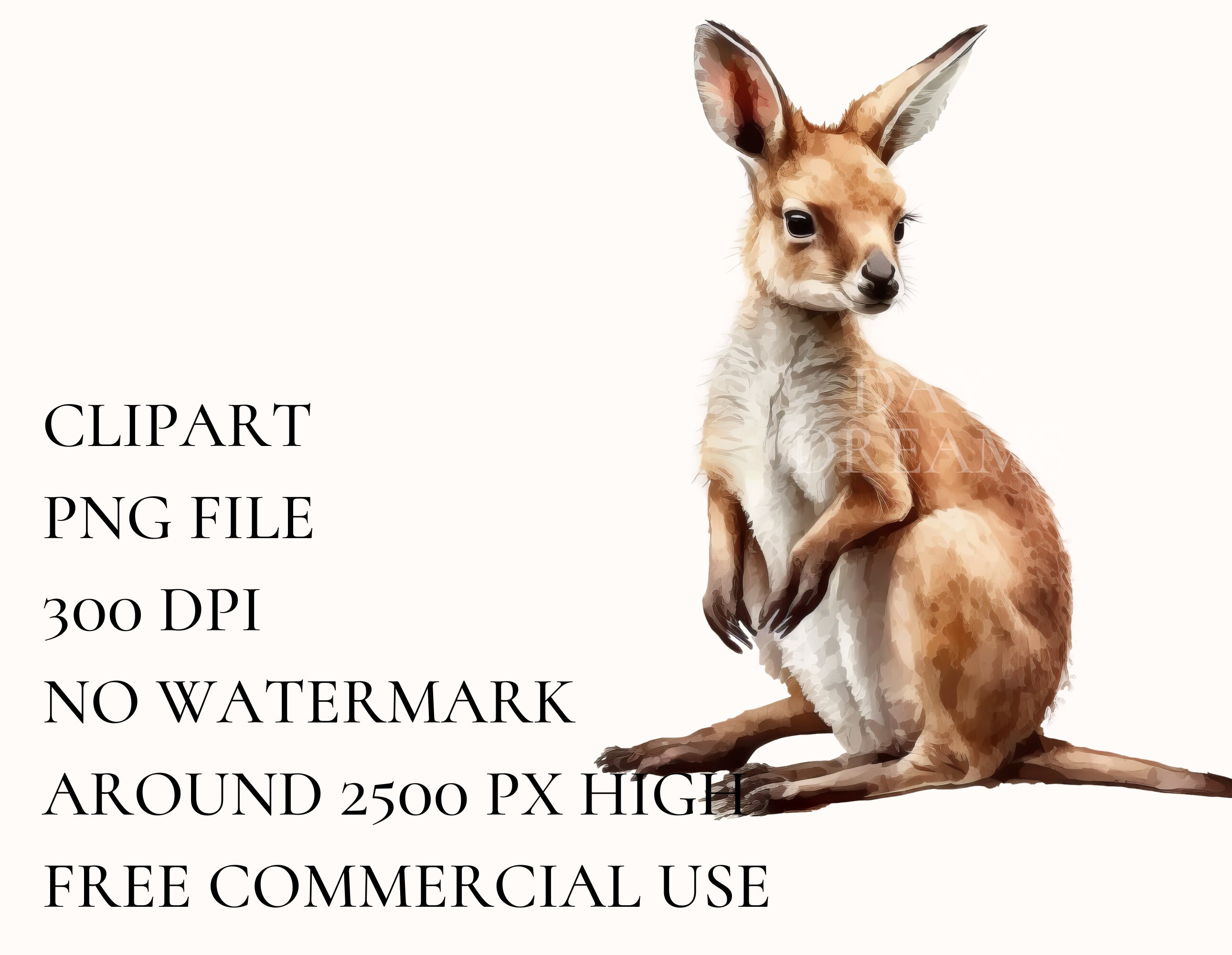 Watercolor Kangaroo Clipart Cute Kangaroos Clipart Bundle - Etsy