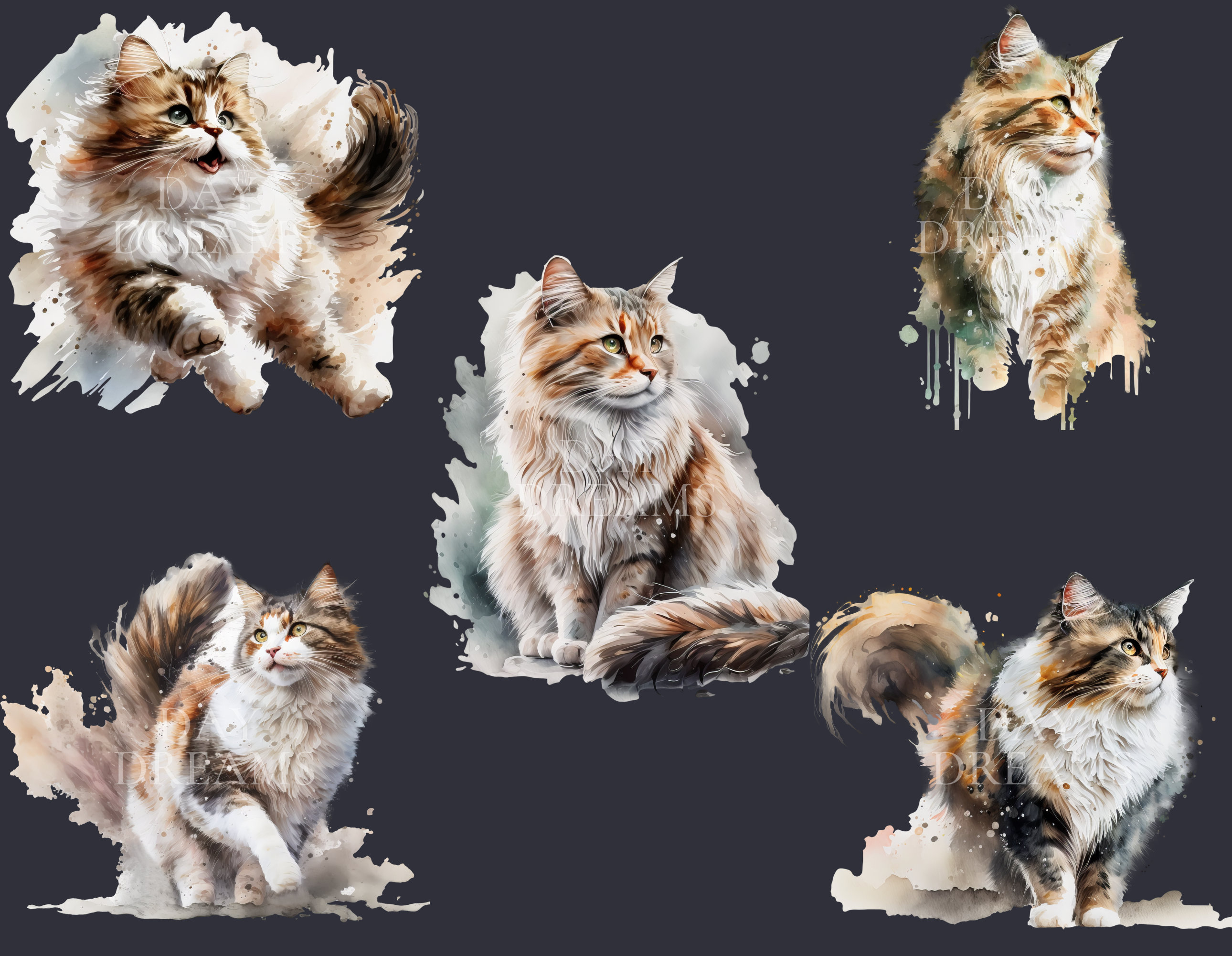 Norwegian Forest Cat Clipart Cute Watercolor Cat Clipart - Etsy Australia