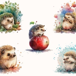 Watercolor Happy Hedgehog Clipart, Cute Forest Animal Clipart Bundle ...