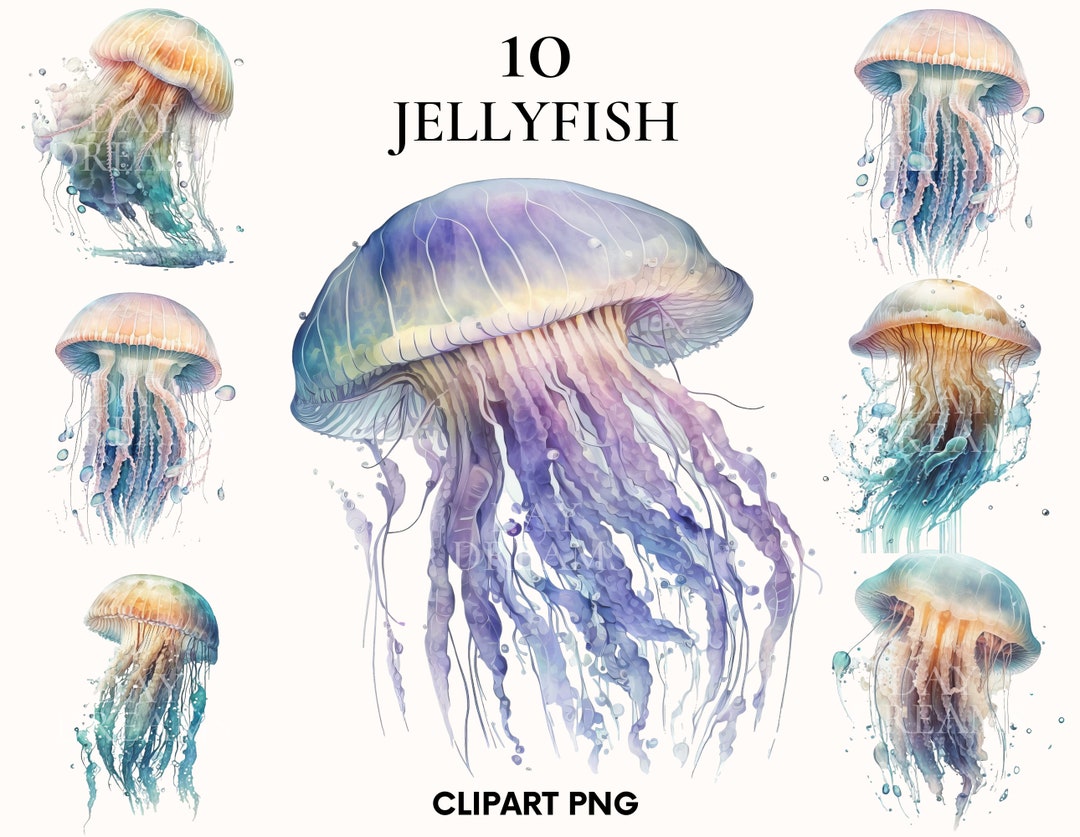 Watercolor Jellyfish Clipart, Beach Clipart, Nautical Clipart Bundle ...