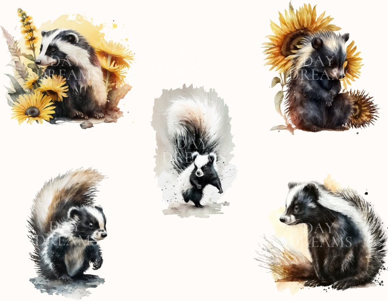 Watercolor Skunks Clipart Cute Skunk With Sunflowers Clipart - Etsy