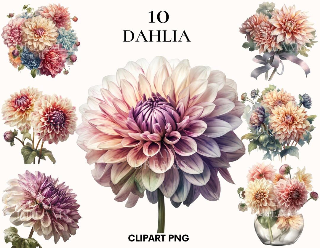 Watercolor Dahlia Clipart, Flower Clipart, Wedding Clipart, Flowers ...