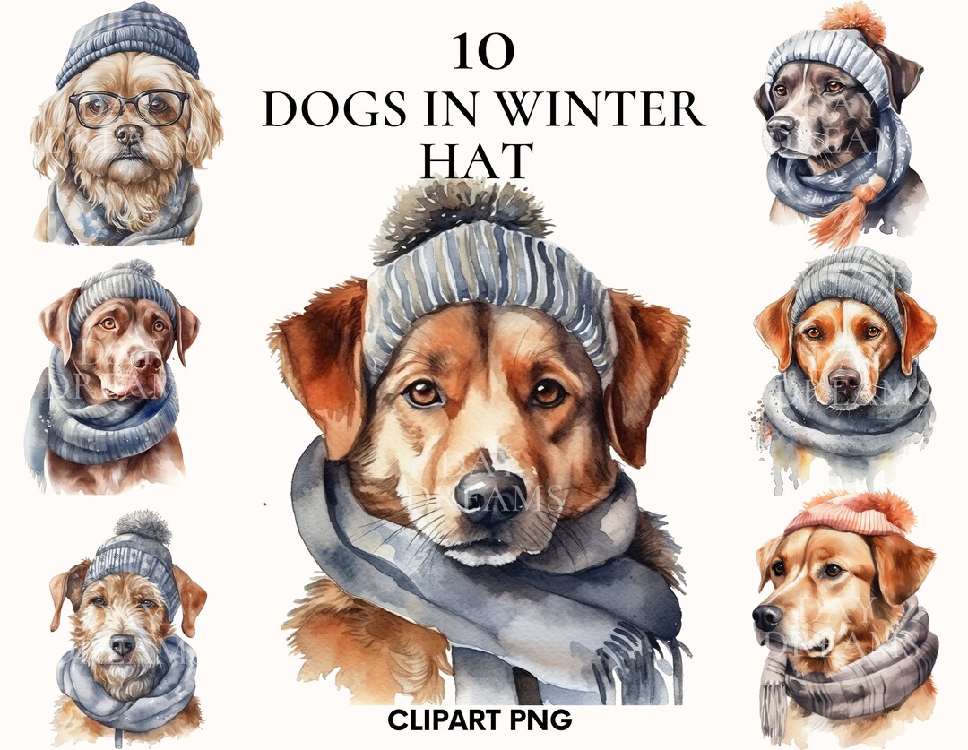 Winter Dog Clipart, Dog Clipart Bundle, Doglover Clipart, Dog Png ...