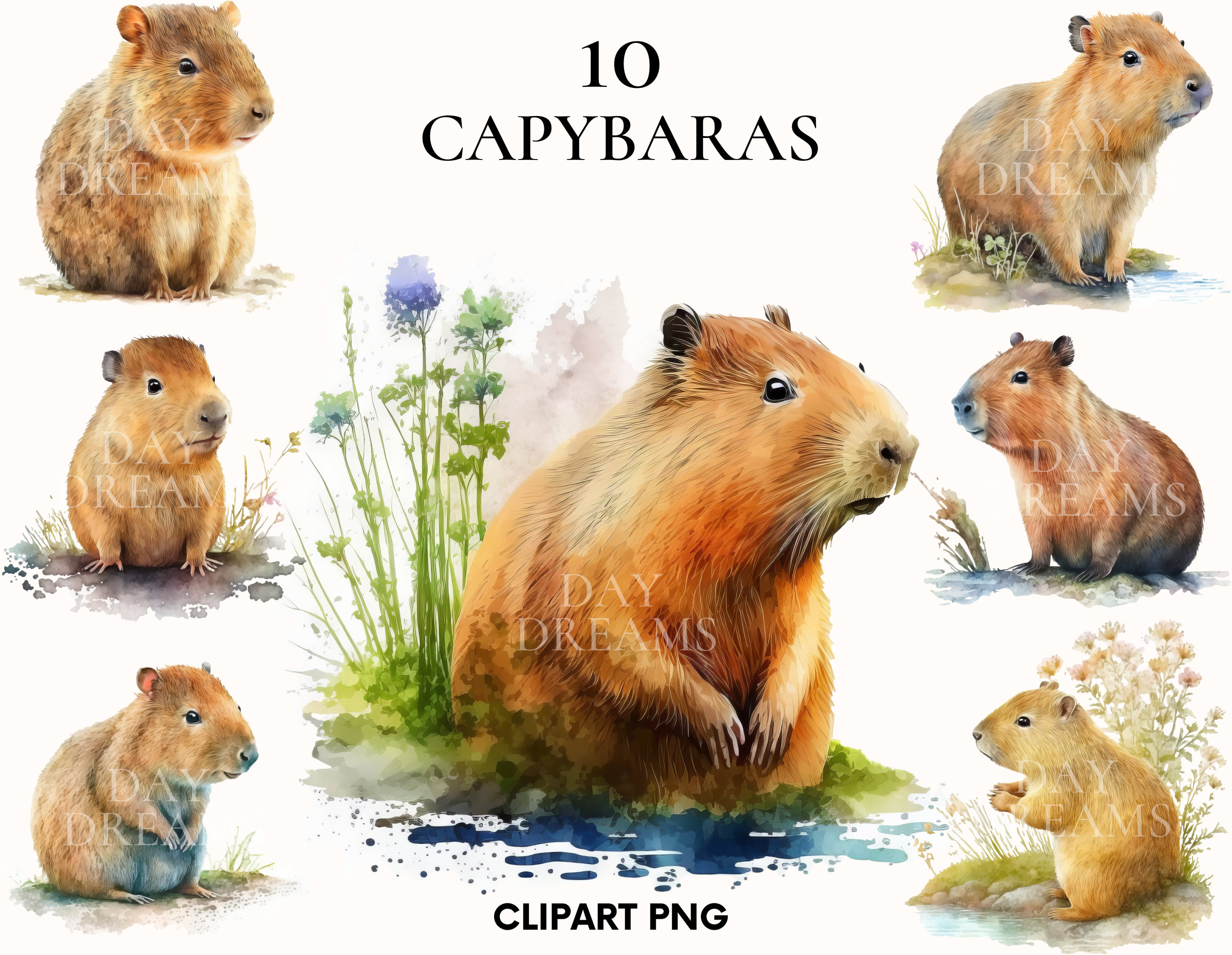 Capybara Clipart Wild Animal Clipart Bundle Animal Clipart - Etsy Australia