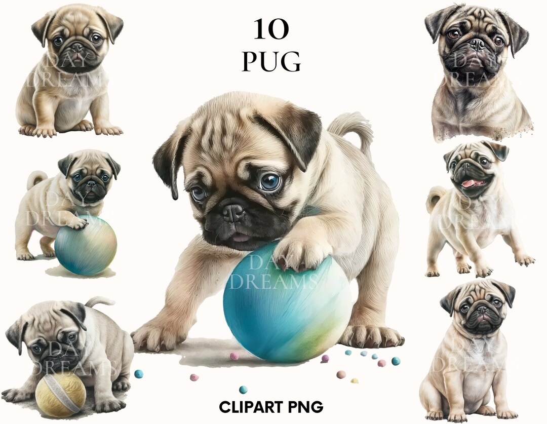 Pug Clipart, Puppy Pug Clipart Bundle, Pet Clipart, Watercolor Pug Dog ...