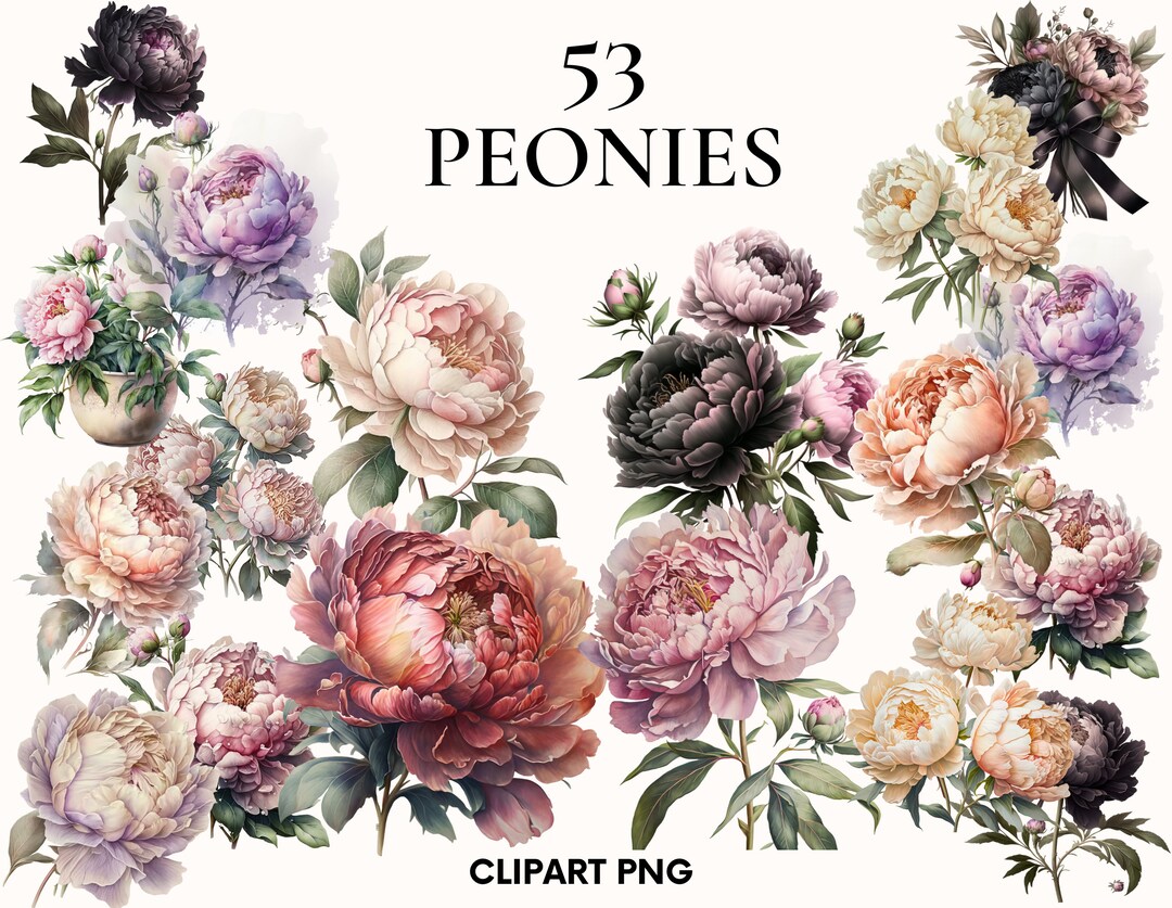 Watercolor Peonies Clipart, Spring Wedding Flowers Clipart Bundle ...