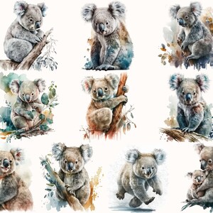 Watercolor Koala Bear Clipart, Koalas Clipart Bundle, Wild Clipart, Zoo ...