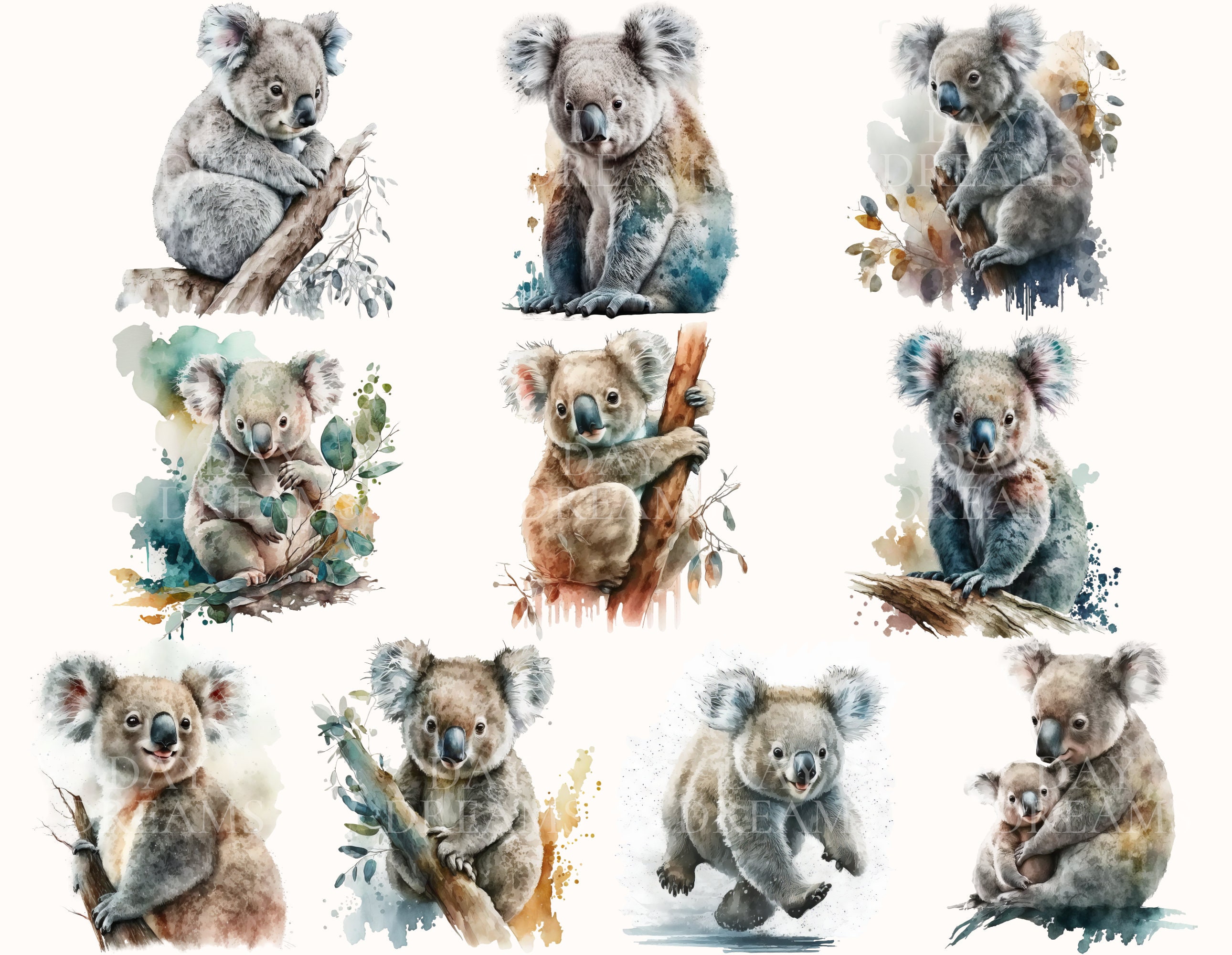 Watercolor Koala Bear Clipart Koalas Clipart Bundle Wild - Etsy