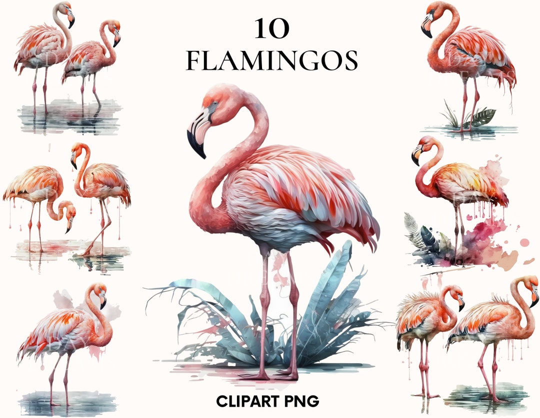 Watercolor Flamingo Clipart, Tropical Clipart Bundle, Pink Flamingo Png ...