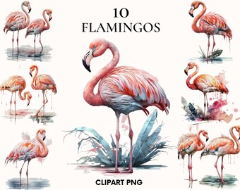 Pink Flamingo Clipart Bundle Watercolor Floral Tropical Illustration 18 ...