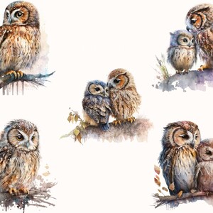 Watercolor Owl Clipart, Sweet Baby Owl Clipart, Woodland Animal Clipart, Nursery Clipart ...