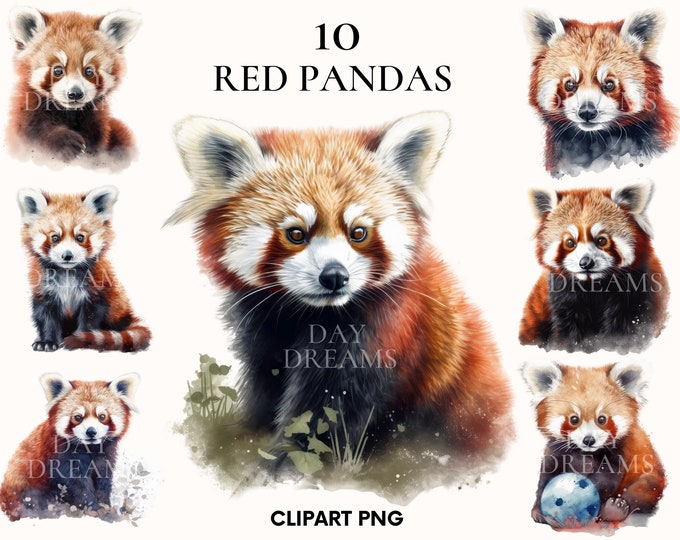 10 Cute Christmas Red Panda Clipart Bundle - High Quality JPG - Digital ...