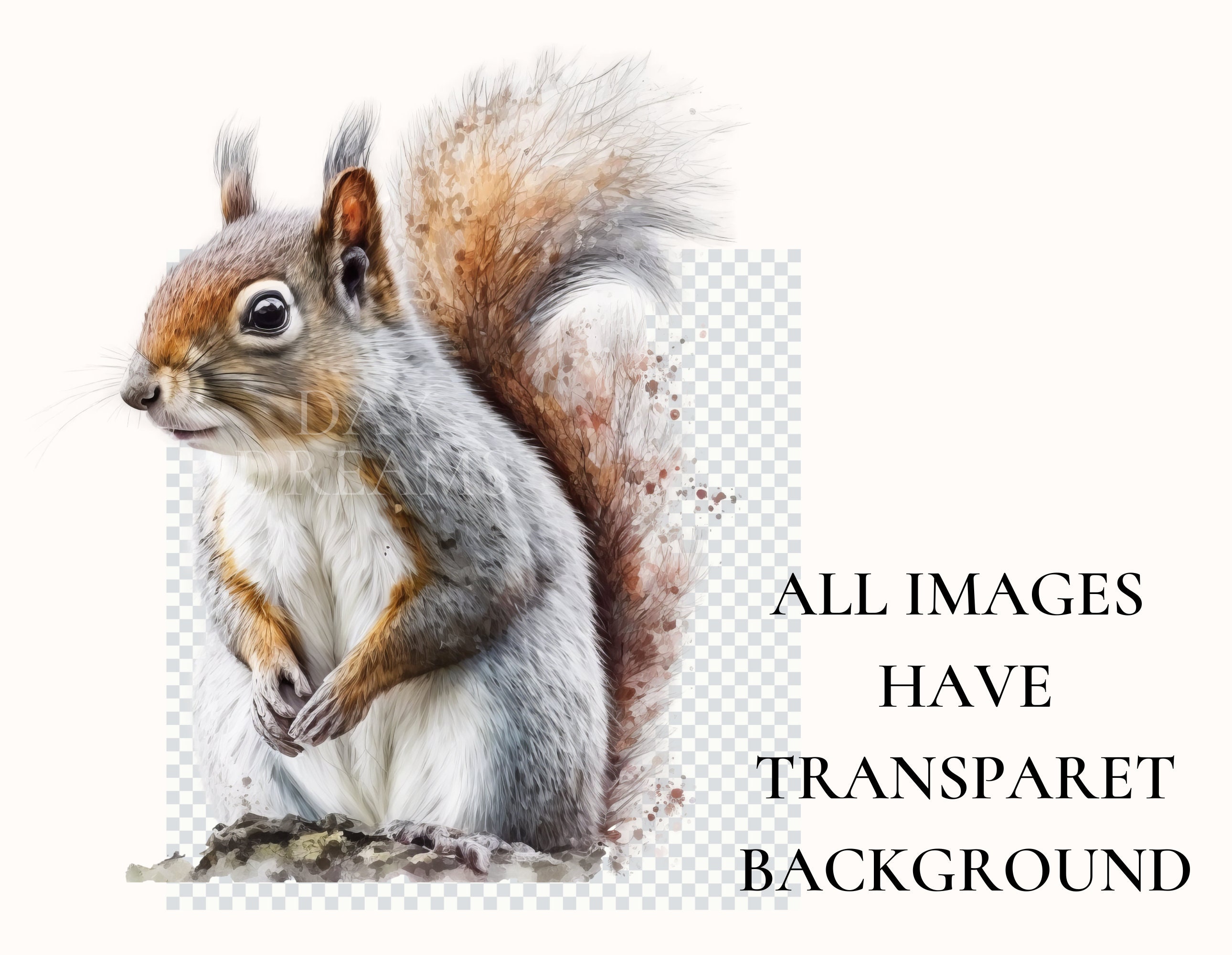 Watercolor Black Squirrel Clipart, Cute Gray Squirrel Clipart Bundle ...