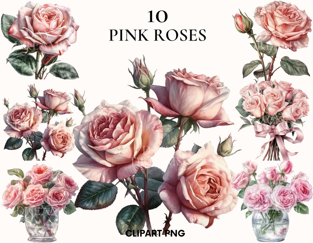 Watercolor Pink Roses Clipart, Wedding Flowers Clipart Bundle, Flower ...