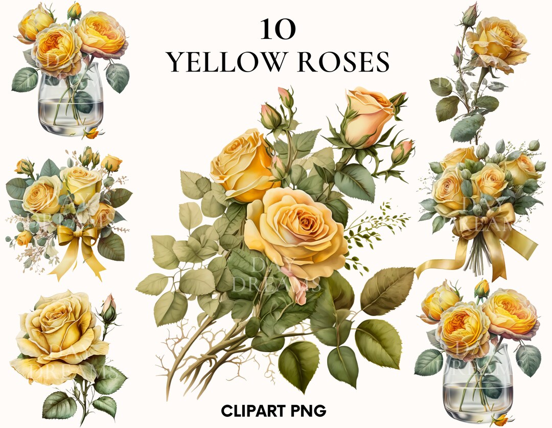 Watercolor Yellow Roses Clipart, Spring Flowers Clipart Bundle, Flower ...