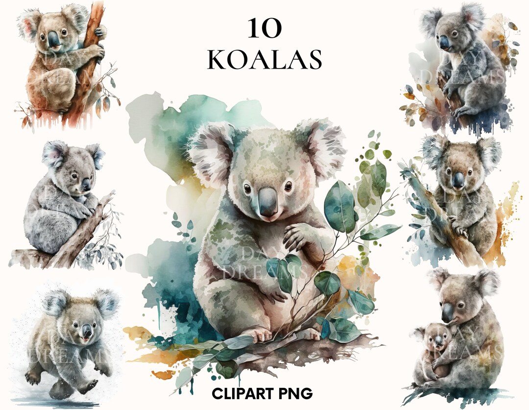 Watercolor Koala Bear Clipart, Koalas Clipart Bundle, Wild Clipart, Zoo ...