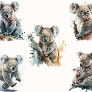 Watercolor Koala Bear Clipart, Koalas Clipart Bundle, Wild Clipart, Zoo ...