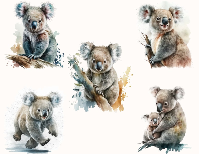 Watercolor Koala Bear Clipart Koalas Clipart Bundle Wild - Etsy