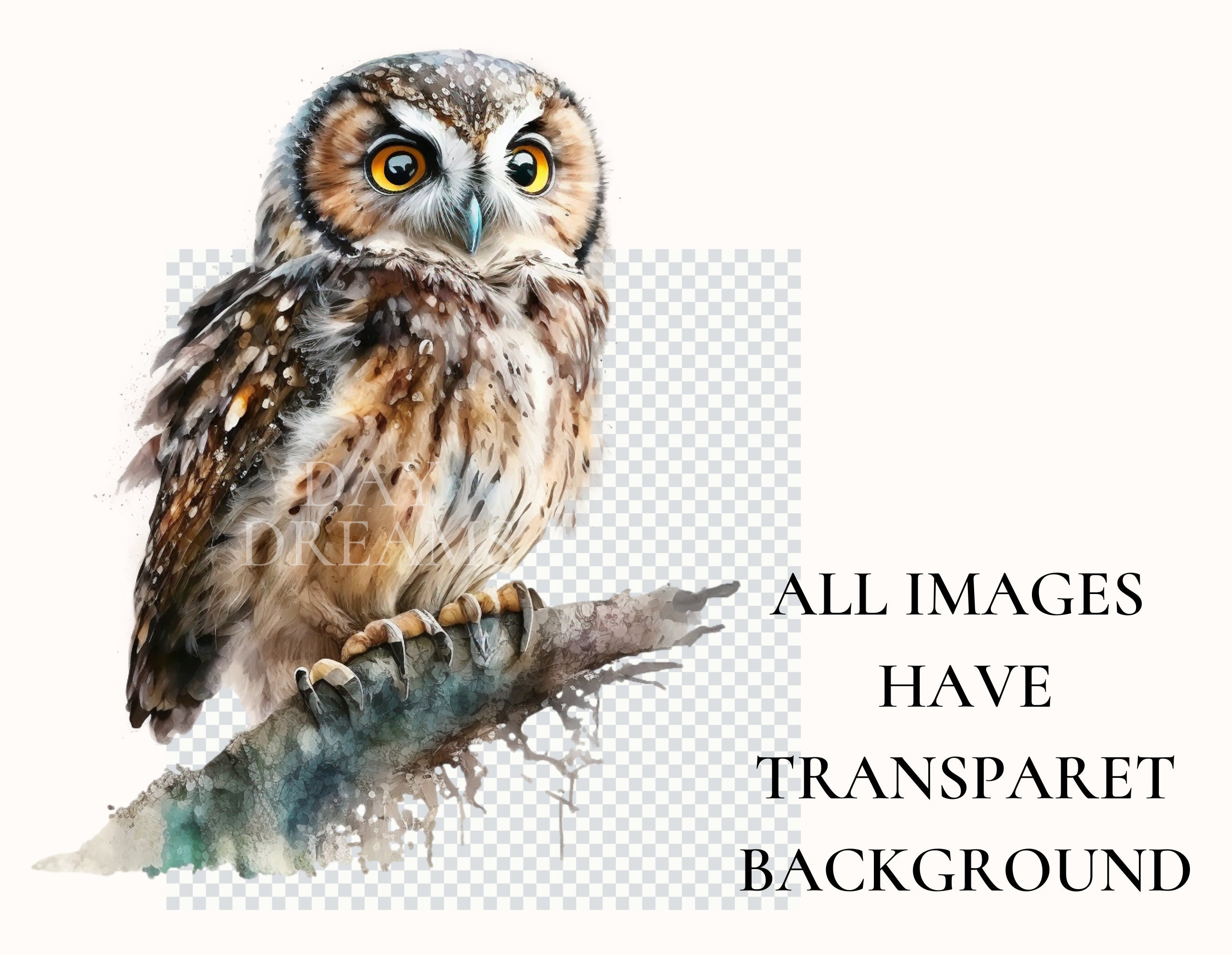 Watercolor Owl Clipart Sweet Baby Owl Clipart Woodland - Etsy