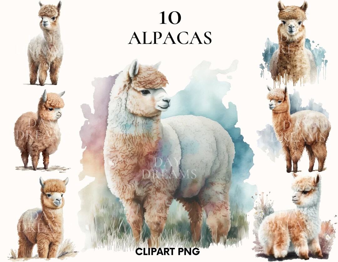 Watercolor Alpaca Clipart, Cute Llama Clipart Bundle, Wild Animal ...