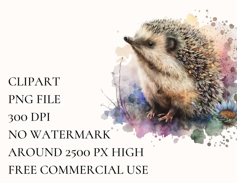 Watercolor Happy Hedgehog Clipart Cute Forest Animal Clipart - Etsy