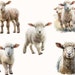 Watercolor Sheep Clipart, Happy Sheep Clipart Bundle, Farm Animal ...