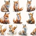 Watercolor Cute Fox Clipart Woodland Animal Clipart Bundle - Etsy