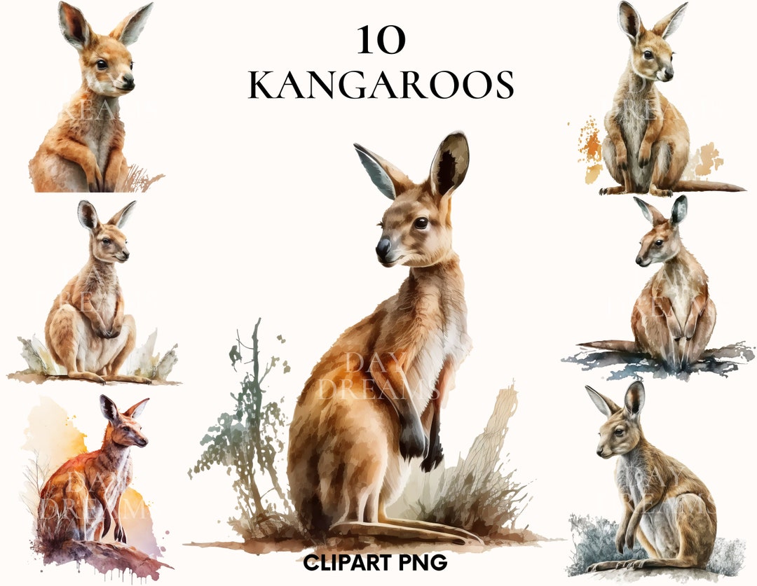 Watercolor Kangaroo Clipart, Cute Kangaroos Clipart Bundle, Wild Animal ...