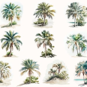 Watercolor Palm Tree Clipart, Beach Clipart, Tropical Clipart Bundle ...