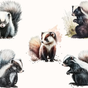 Watercolor Skunks Clipart, Cute Skunk With Sunflowers Clipart Bundle ...