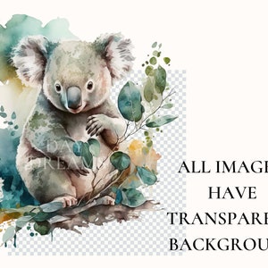 Watercolor Koala Bear Clipart, Koalas Clipart Bundle, Wild Clipart, Zoo ...