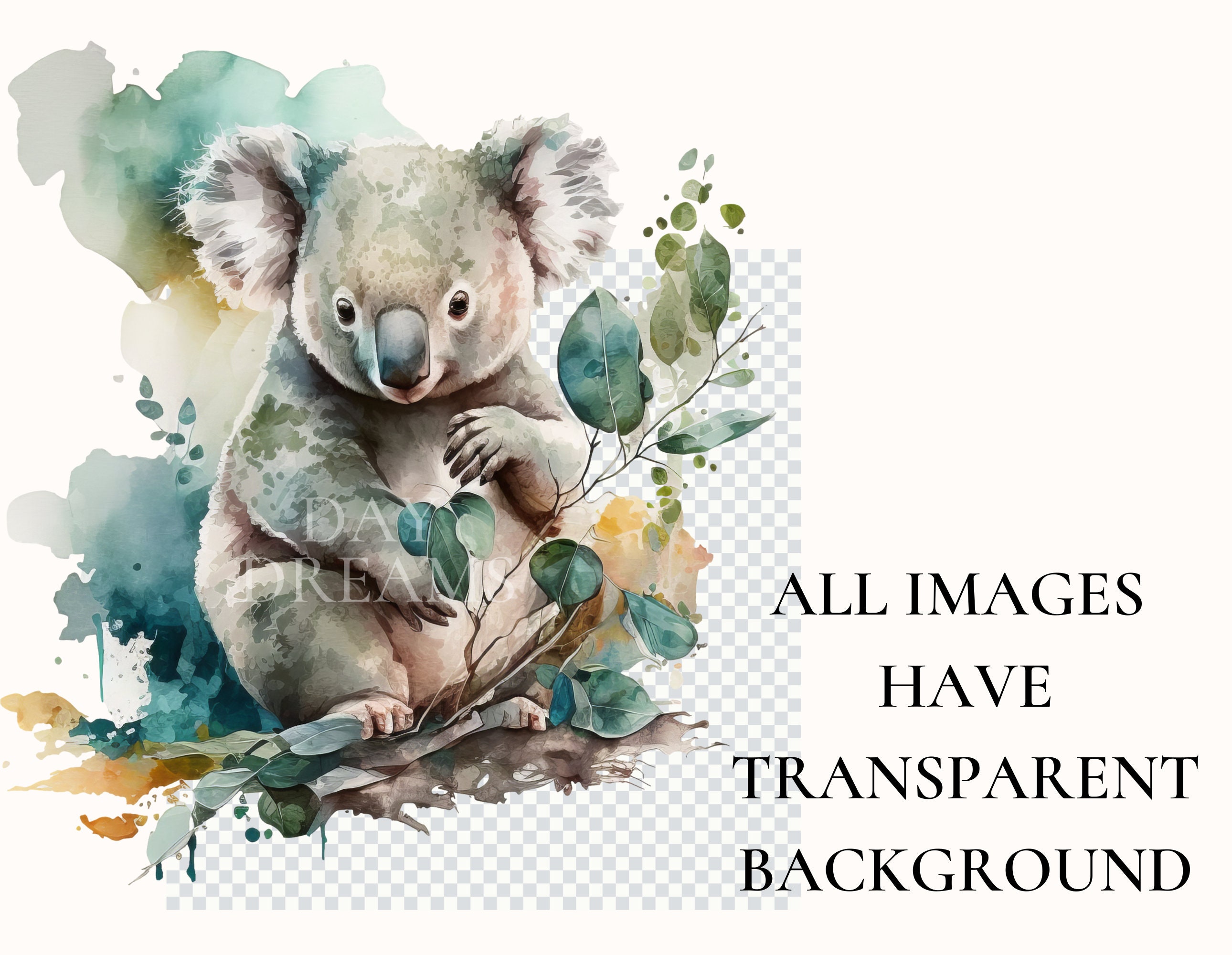 Watercolor Koala Bear Clipart Koalas Clipart Bundle Wild - Etsy