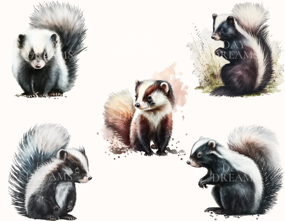 Watercolor Skunks Clipart Cute Skunk With Sunflowers Clipart - Etsy
