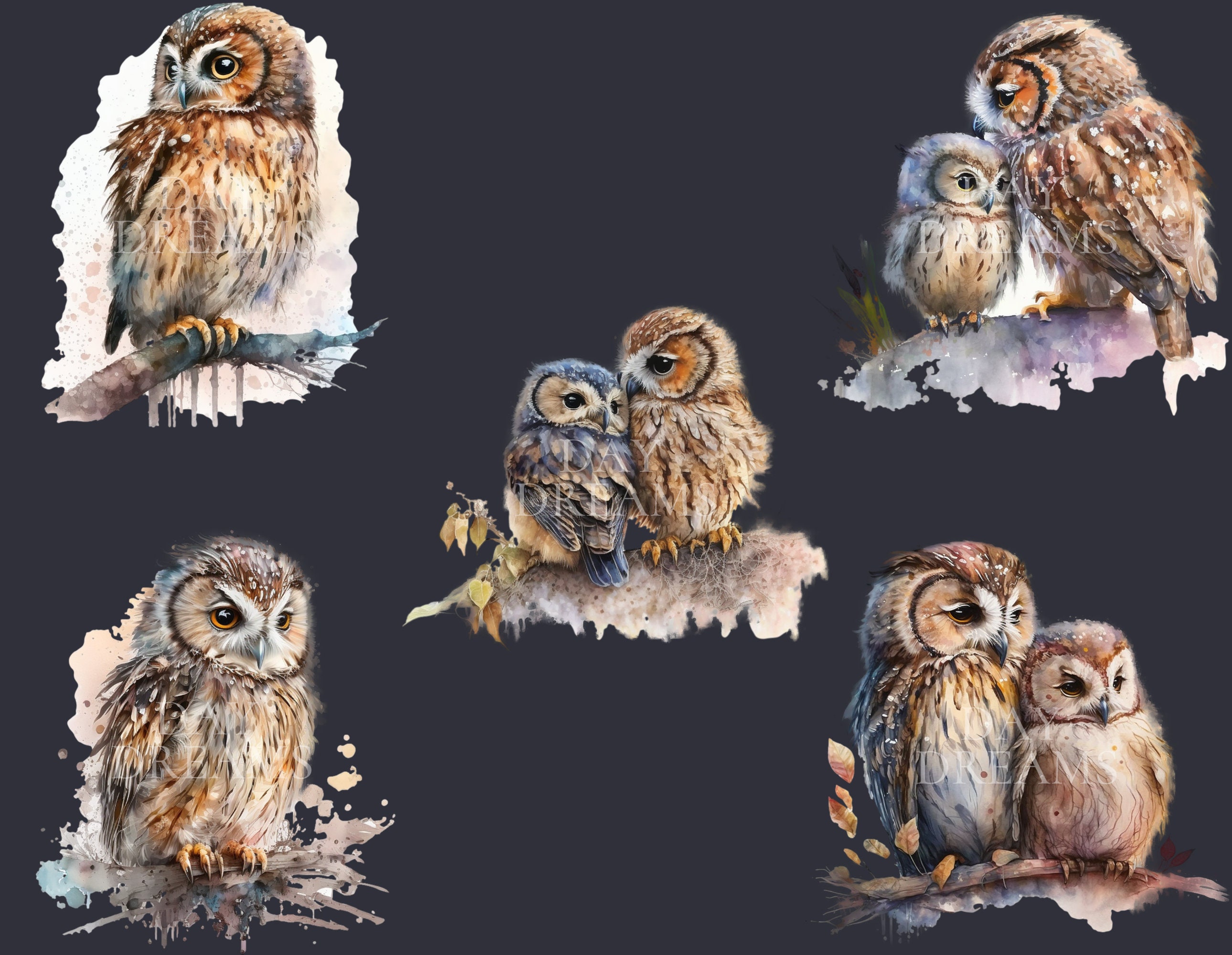 Watercolor Owl Clipart Sweet Baby Owl Clipart Woodland - Etsy