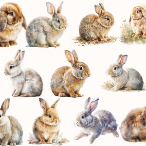 Watercolor Bunnies Clipart, Cute Bunny Clipart Bundle, Woodland Animal ...