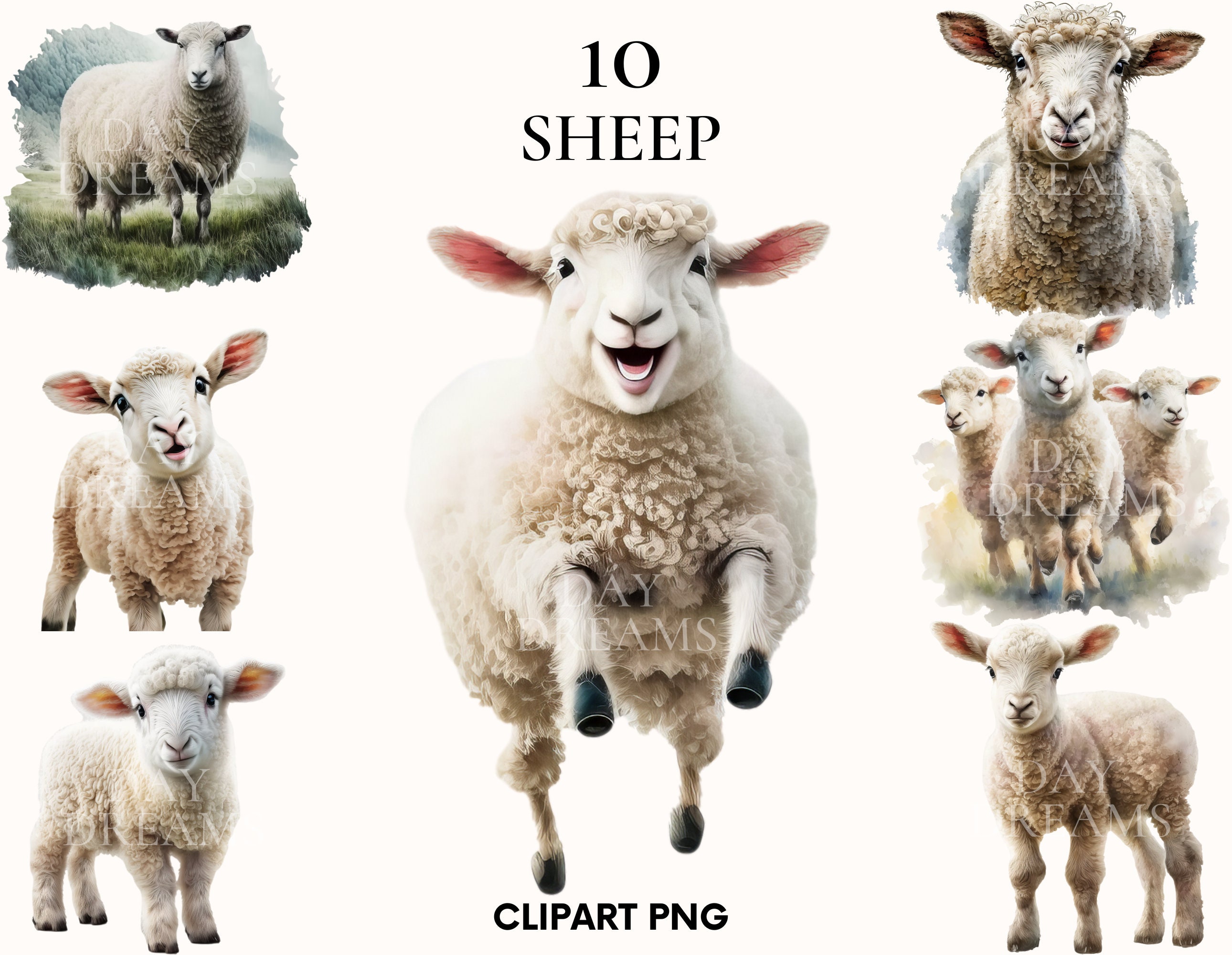 Sheep Herd Clipart