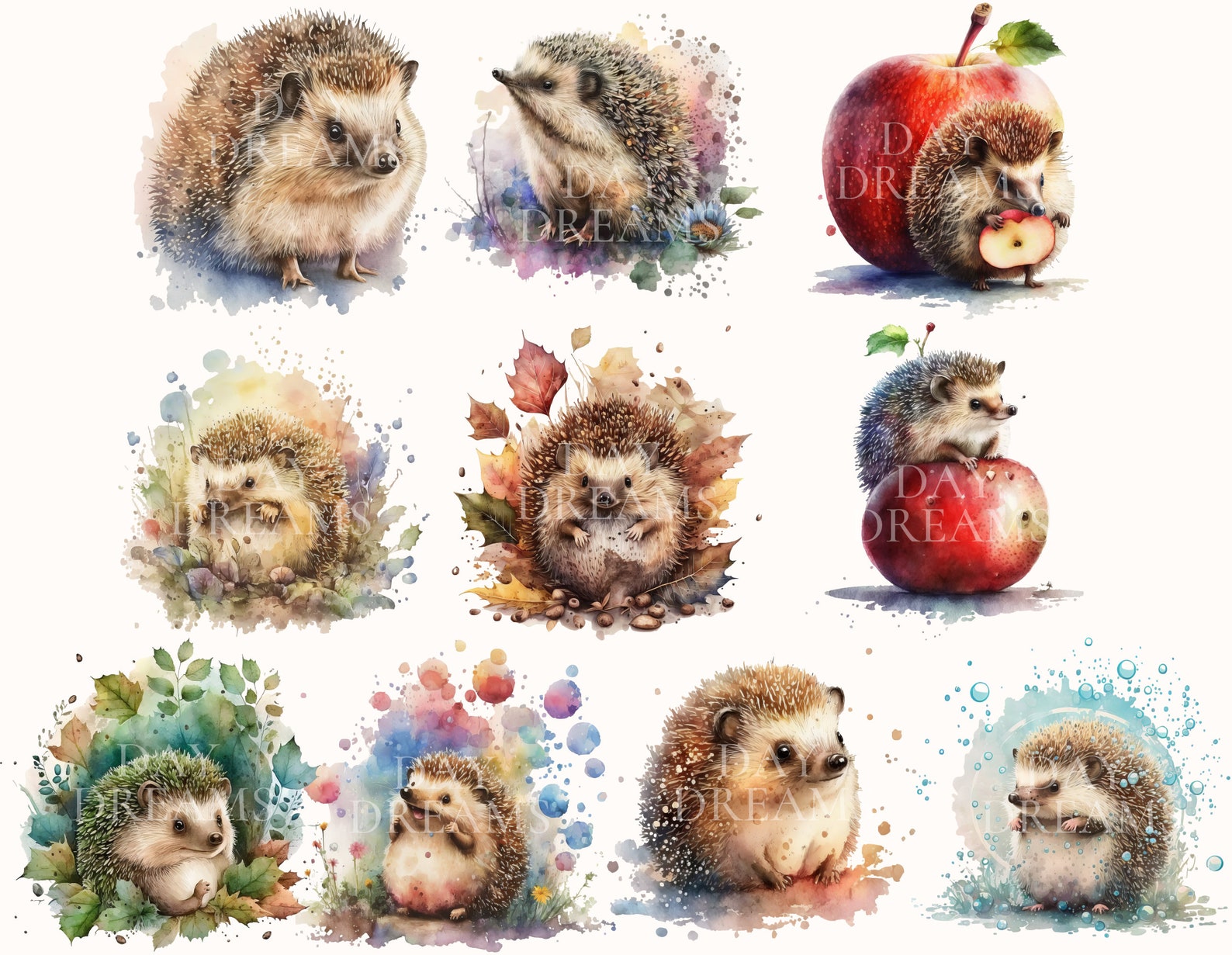 Watercolor Happy Hedgehog Clipart, Cute Forest Animal Clipart Bundle ...