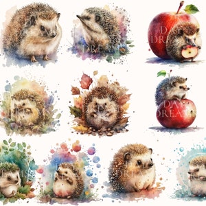 Watercolor Happy Hedgehog Clipart, Cute Forest Animal Clipart Bundle ...
