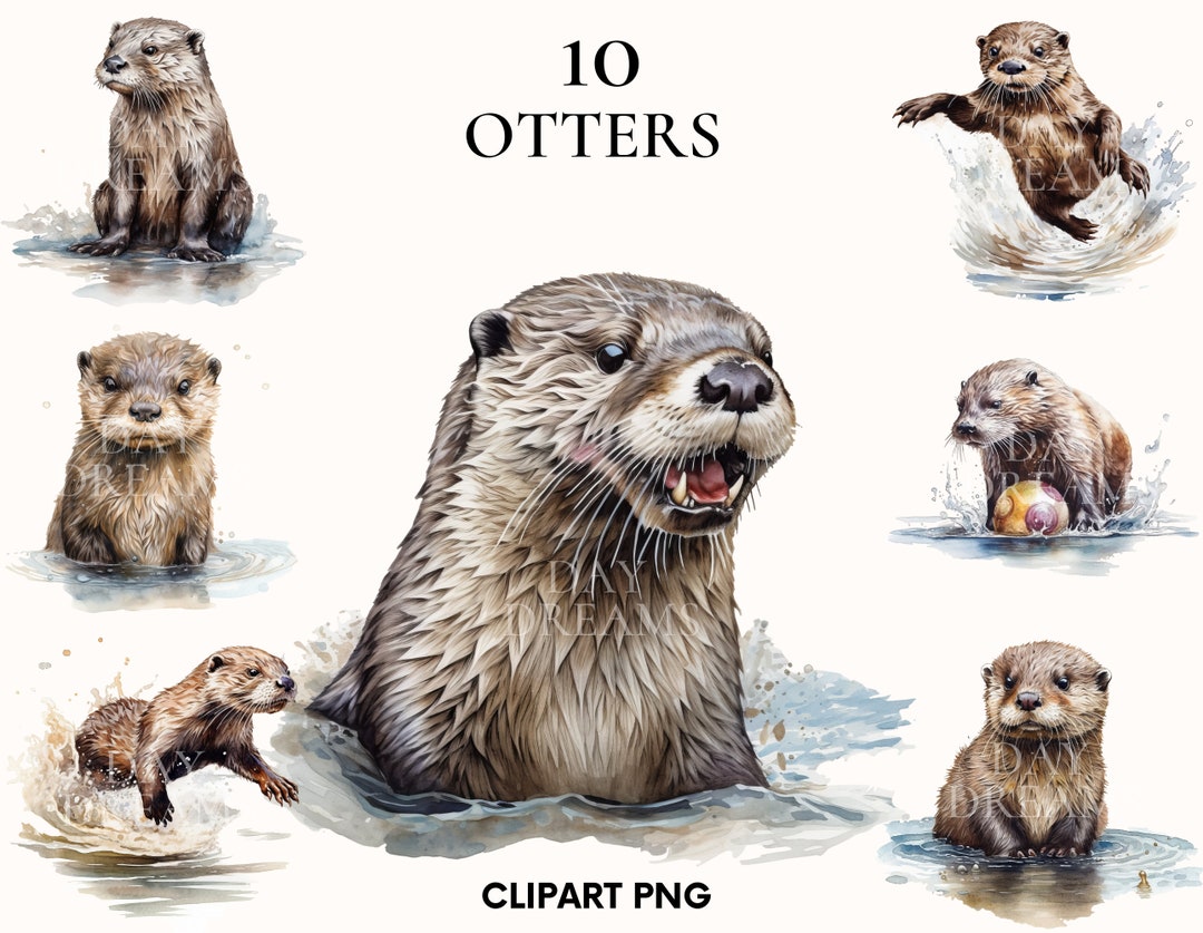 Watercolor Otter Clipart, Cute Otter Clipart Bundle, Sea Animal, Otter ...
