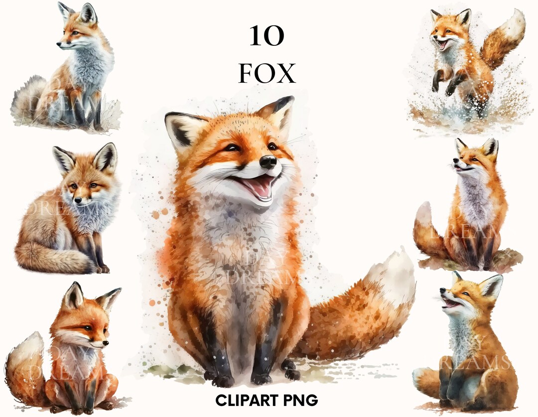 Watercolor Cute Fox Clipart, Woodland Animal Clipart Bundle, Farmhouse ...