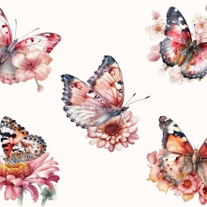Watercolor Butterfly Clipart, Cute Butterfly Clipart Bundle, Spring ...