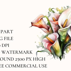 Calla Lily Clipart, Wedding Clipart, Spring and Summer Flowers Clipart ...