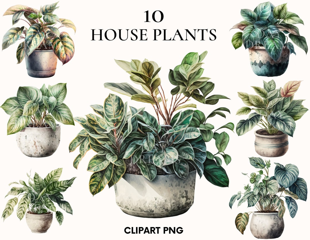Watercolor House Plant Clipart, Greenery Clipart Bundle, Plant in a Pot ...