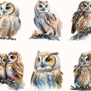 Watercolor Owl Clipart, Sweet Baby Owl Clipart, Woodland Animal Clipart ...