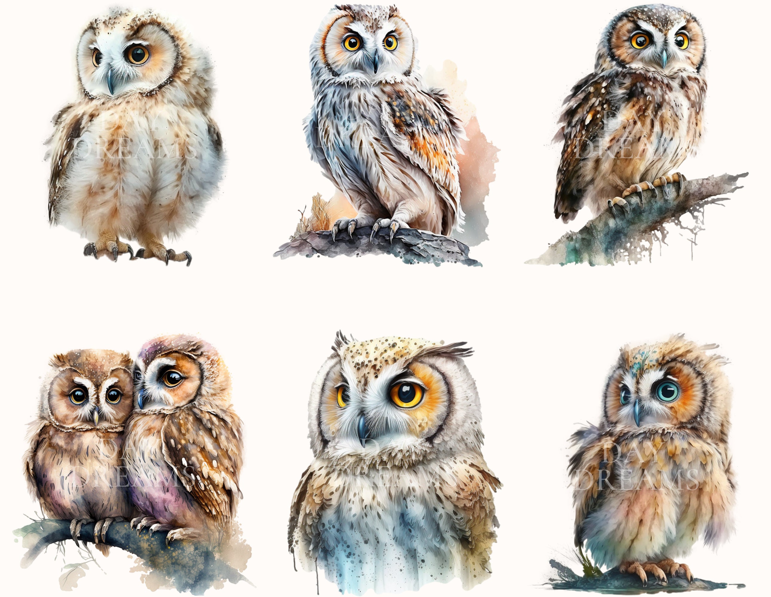 Watercolor Owl Clipart Sweet Baby Owl Clipart Woodland - Etsy